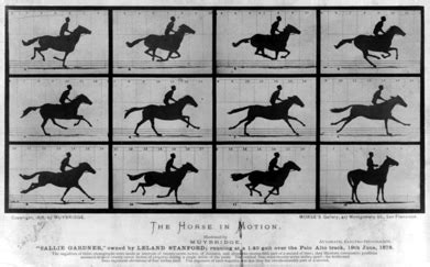 El Inicio De Las ImÁgenes En Movimiento Eadweard Muybridge Y Etienne