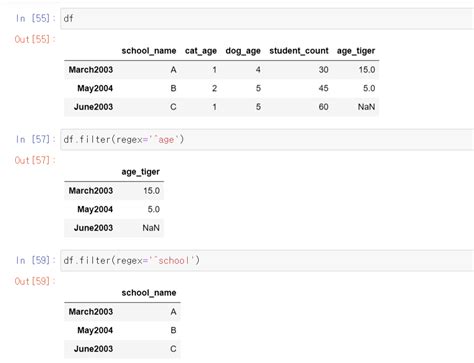 Python 파이썬을 이용한 패널 데이터 분석 3 정규표현식 Regex로 데이터 프레임에서 원하는 칼럼과 행 추출하기 Pandas Dffilter
