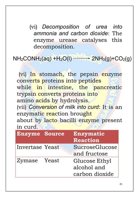 Catalysis Chemistry Project Pdf