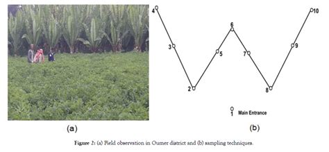 Current Status Of Bacterial Wilt Ralstonia Solanacearum Disease In Major Seed Potato Solanum