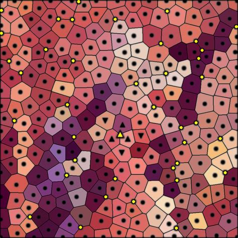 Our Coverage Adaptive Sampling And Its Voronoi Diagram The Adaptive