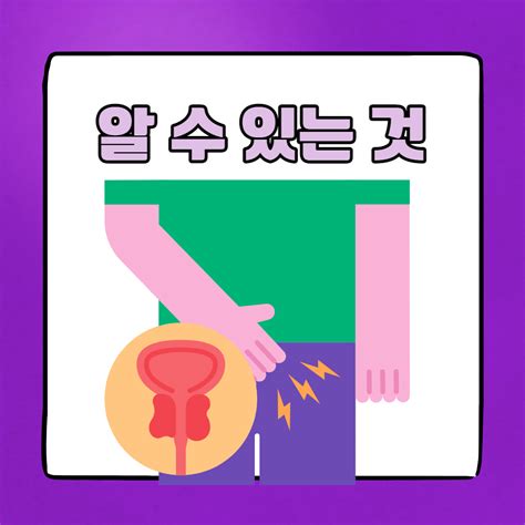 신장 전립선 초음파검사 과정 비뇨생식기 초음파검사 네이버 포스트