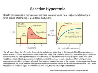 Endothelial Dysfunction In Indian Scenario Pptx