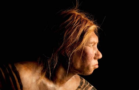 What Did Neanderthals Look Like