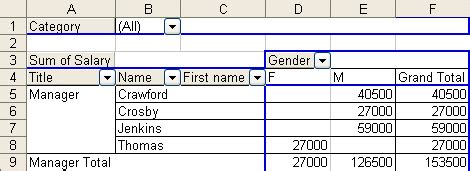 Microsoft Excel Pivot Table