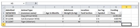 Data Structure Explanation Excel Table Windsong Training