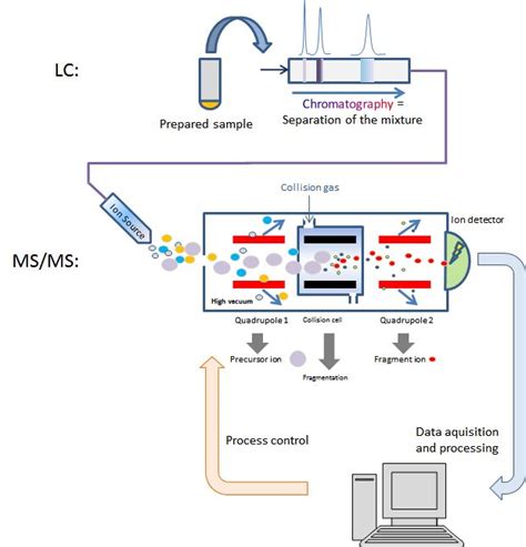 Xenia Xu On Linkedin Lcms Ionization Analyticalchemistry