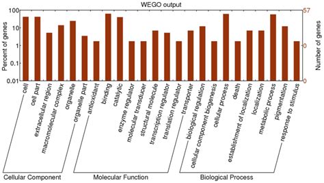 Go Classification Of 92 R9308 Biased Transcripts Download Scientific Diagram