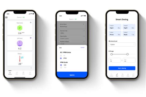 DWC Vs RDWC Key Differences Which Is Better DWC Or RDWC