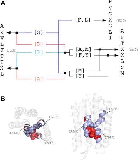 Examples Of Spatially Interacting Sub Sequences With Respect To Their Download Scientific