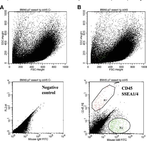 Figure 1 From Epiblast Derived Stem Cells In Embryonic And Adult