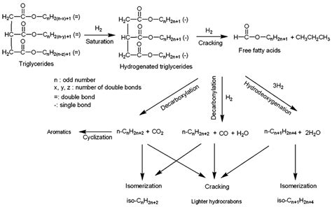 Catalytic Applications In The Production Of Hydrotreated Vegetable Oil