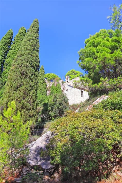 Forest Park Marjan In Split Croatia Stock Image Image Of Plant