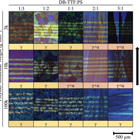 Polarized Optical Microscopy Images With Crossed Polarizer Analyzer Download Scientific Diagram