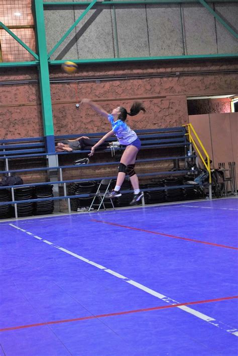 Dsc00807 Danae Dallmeyer Flickr