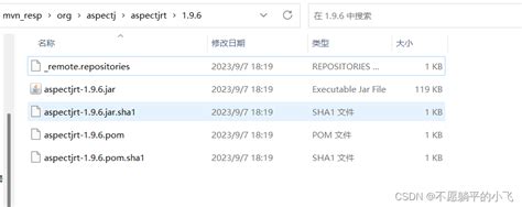 Springcloud整合sentinel报错 Java 读取dideaideaprojectcoderespository