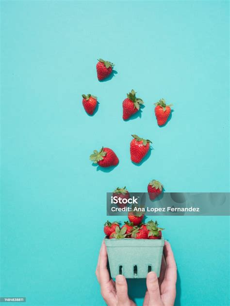 딸기로 가득 찬 녹색 판지 베리 바구니를 들고 위에서 떨어지는 다른 손을 따고 있습니다 창조적 인 구성 건강한 생활방식에 대한