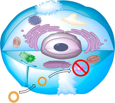 Antibiotic Derived Lipid Nanoparticles To Treat Intracellular Staphylococcus Aureus Acs