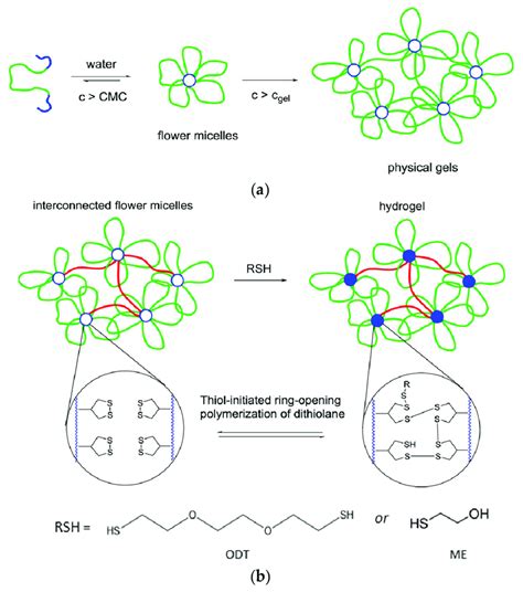A Aba Triblock Copolymers Like Dbcp With Hydrophobic End Blocks And Download Scientific