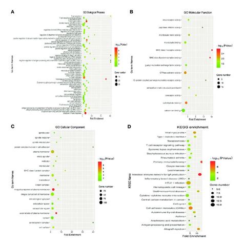 Enrichment Analysis Of Differentially Expressed Immune Related Genes