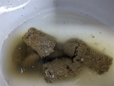 Pushing And Grunting Brings Great Relief ThisVid Com