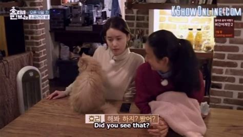 Do You Know How Cats Say Hi Tumbex