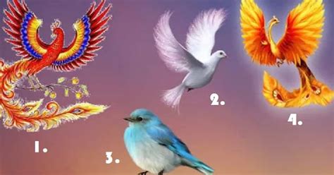 აირჩიეთ ჩიტი და გაარკვიეთ რა სიახლეები გელით მალე Marao