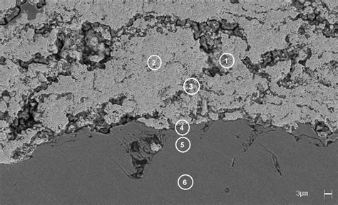 sem micrograph of the coating substrate interface region download