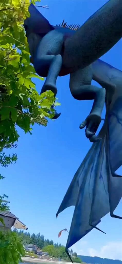 My Favorite Random Occurrence Playing This App Everlow Fliers Coming