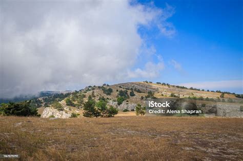 안개 에 아이 페트리 산 높은 산 크리미아 러시아어 산입니다 낮은 구름 아름다운 산의 풍경 크림 반도에서 가장 높은 지점 중