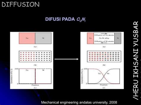 Diffusion Phenomenappt