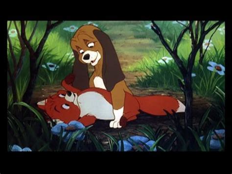 The Fox And The Hound The Fox And The Hound 30th Anniversary Edition Imdb