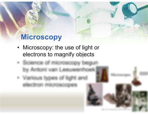 Solution Microbiology Ch 4 Microscopy Staining Classification Studypool