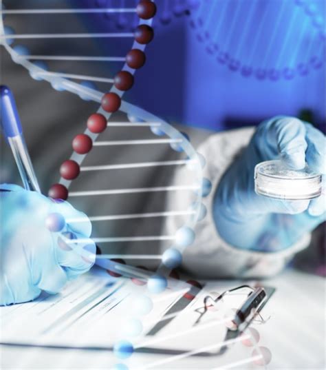 The Different Types Of DNA Tests In Nigeria Relationship Diagnostic Ancestry And Infidelity