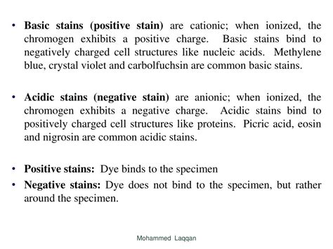 Ppt Bacterial Stains Powerpoint Presentation Free Download Id4639539