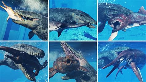 Mosasaurus Size Comparison