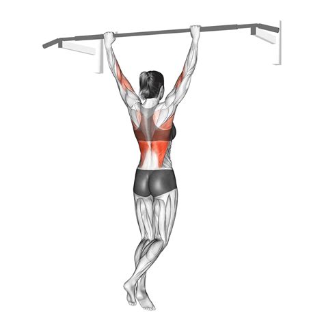 7 Best Pull Up Variations With Pictures Inspire Us