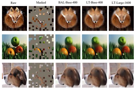【计算机视觉】cvpr 23 视觉 Transformer 全新学习范式！用长尾数据提升vit性能 Cvpr23 Fas Wild Csdn博客