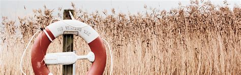 How To Use Ai And Chatgpt To Write Impactful Headlines By All About