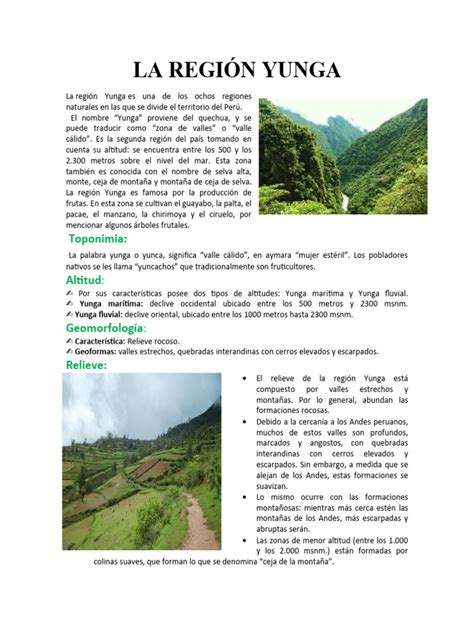 Region Yunga Pdf Ciencias De La Tierra Geografía Física