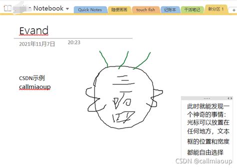微软笔记软件onenote使用方法和技巧（不定期新增）onenote使用技巧 Csdn博客