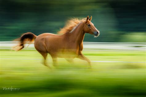 Ways To Capture Blur Or The Illusion Of Blur In A Photo Fstoppers