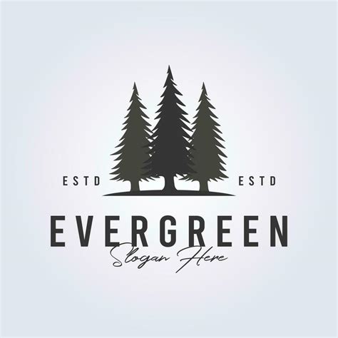 Evergreen Logo Pine Tree Icon Symbol Vector Illustration Design