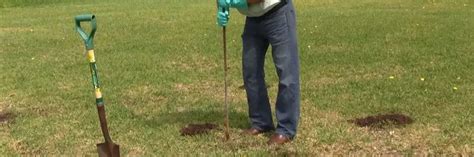 How To Get Rid Of Gophers Diy Gopher Control Products Solutions