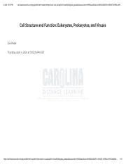 Exploring Cell Structure Eukaryotes Prokaryotes Viruses Course Hero