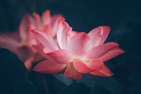 幽灵行动致命错误（fatal Error）：从诊断到修复的详细说明幽灵行者fatal Error怎么解决 Csdn博客