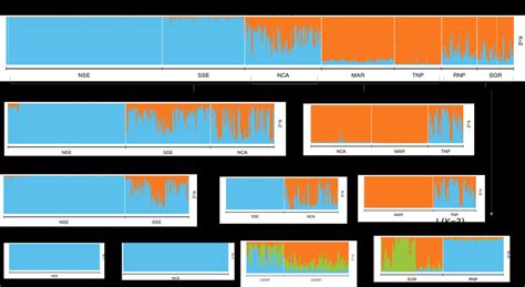 Hierarchical Population Structure Analysis For The African Savanna