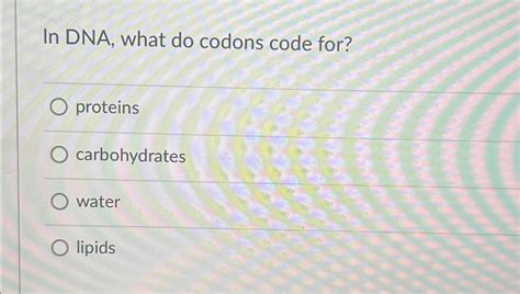 Solved In DNA What Do Codons Code Chegg