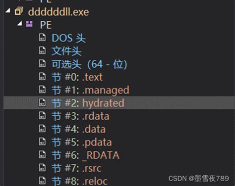 使用c的控制台调用aot发布的dll类库c Aot Csdn博客