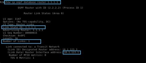 Top 11 Ospf Lsa Types Explained 2025